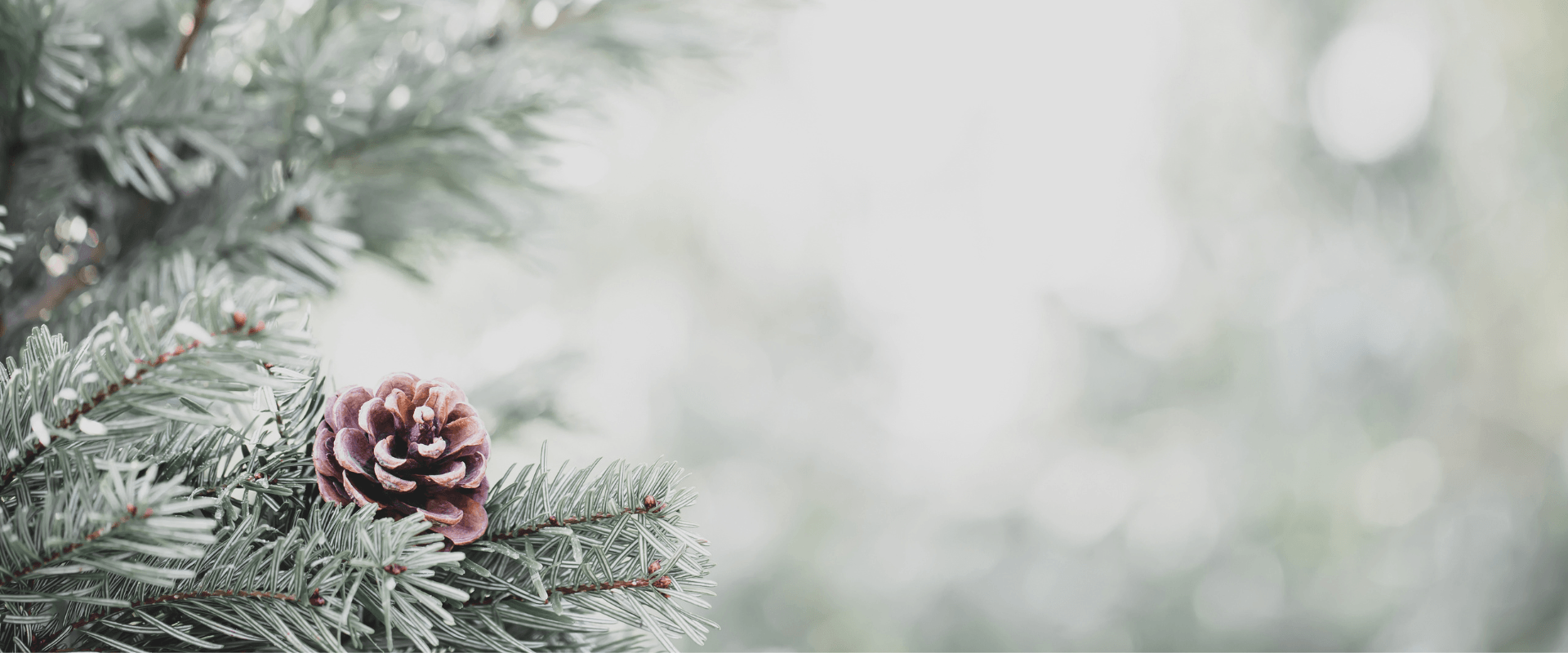 Bucks Mind Services During the Festive Season - Bucks Mind